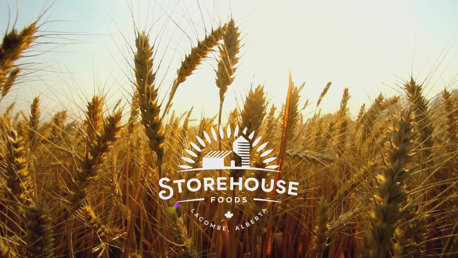 Hard Red Spring Wheat – Storehouse Foods