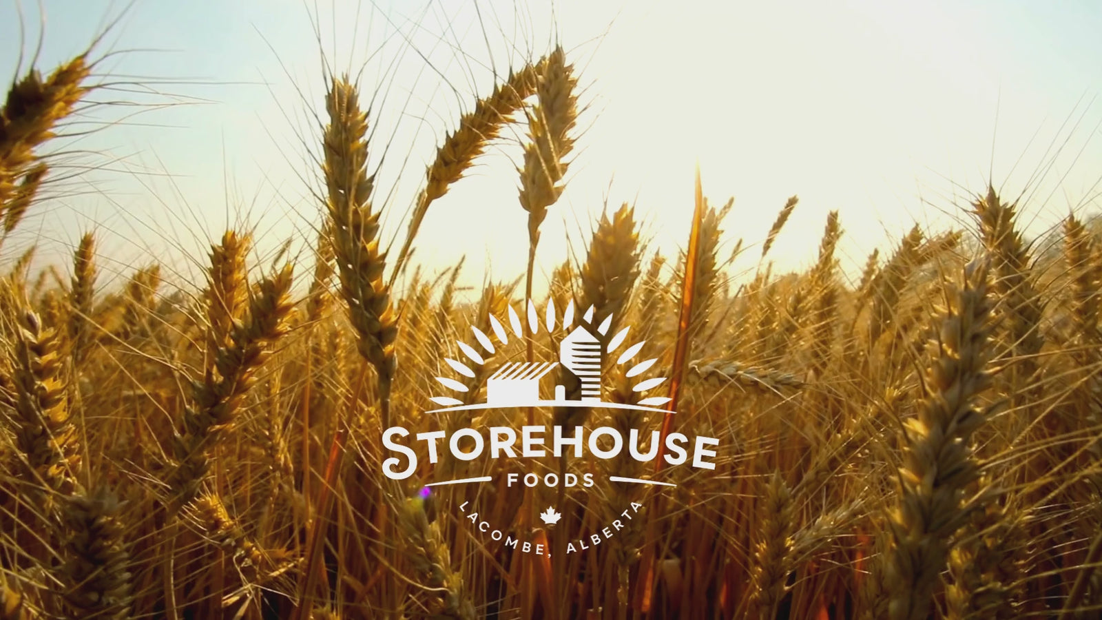 Hard Red Spring Wheat – Storehouse Foods
