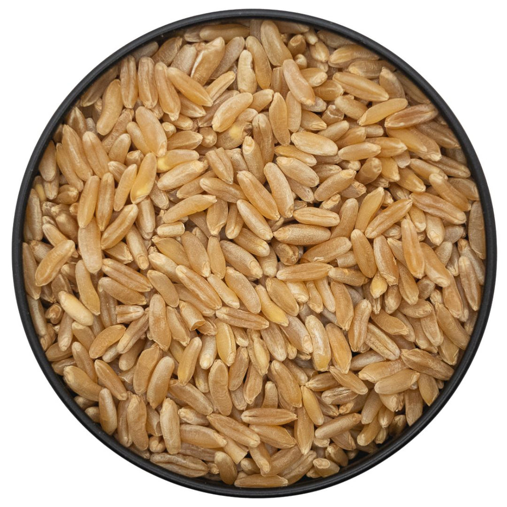 Organic Kamut® Berries - Ancient Grain – Storehouse Foods