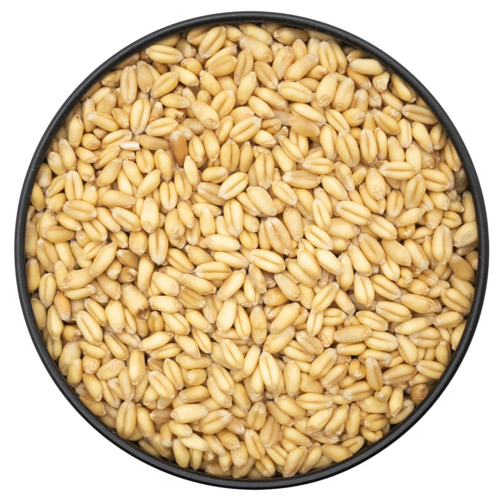 Organic Spelt Berries - Ancient Grain – Storehouse Foods