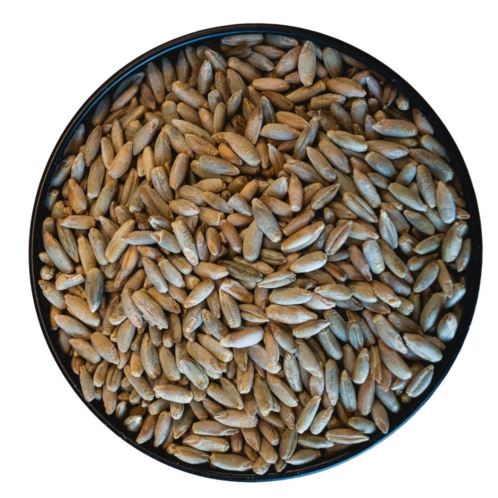 Organic Rye Berries – Storehouse Foods